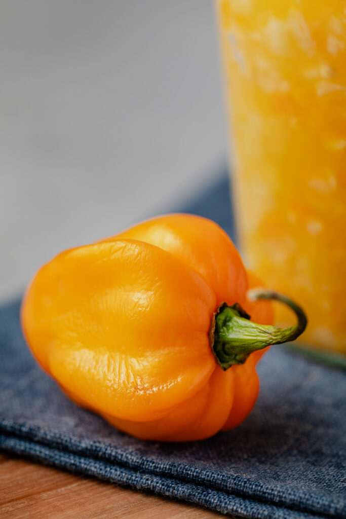 Antilliaanse pika (zoals ze ‘m op Curaçao eten) - Francesca Kookt